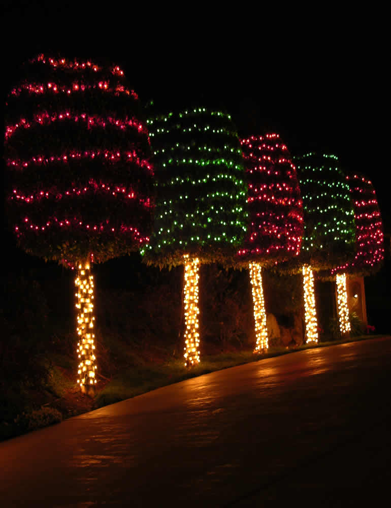 Christmas Light Installation Las Vegas
